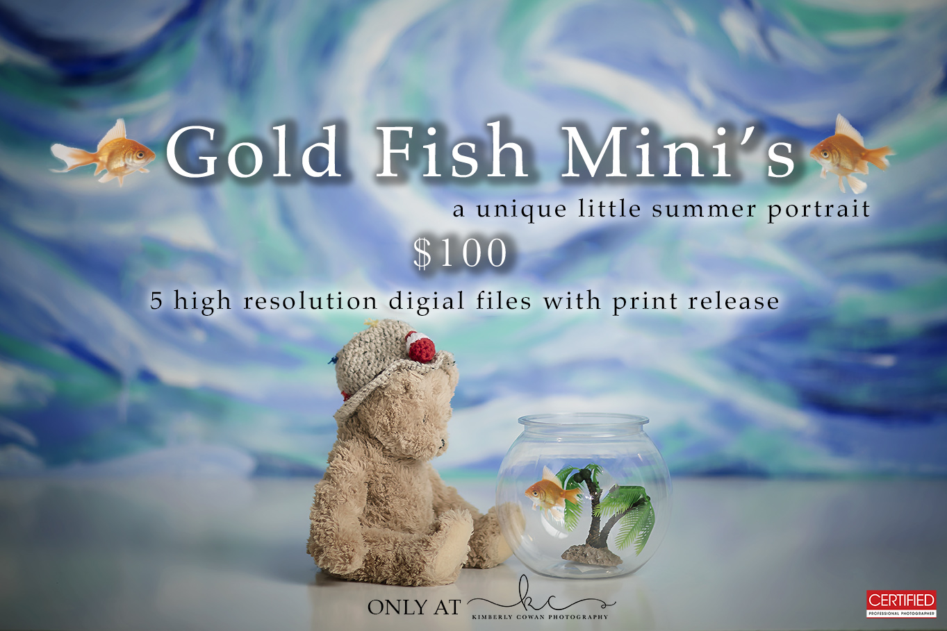 Gold Fish Mini's! at Kimberly Cowan Photography - Kimberly Cowan ...