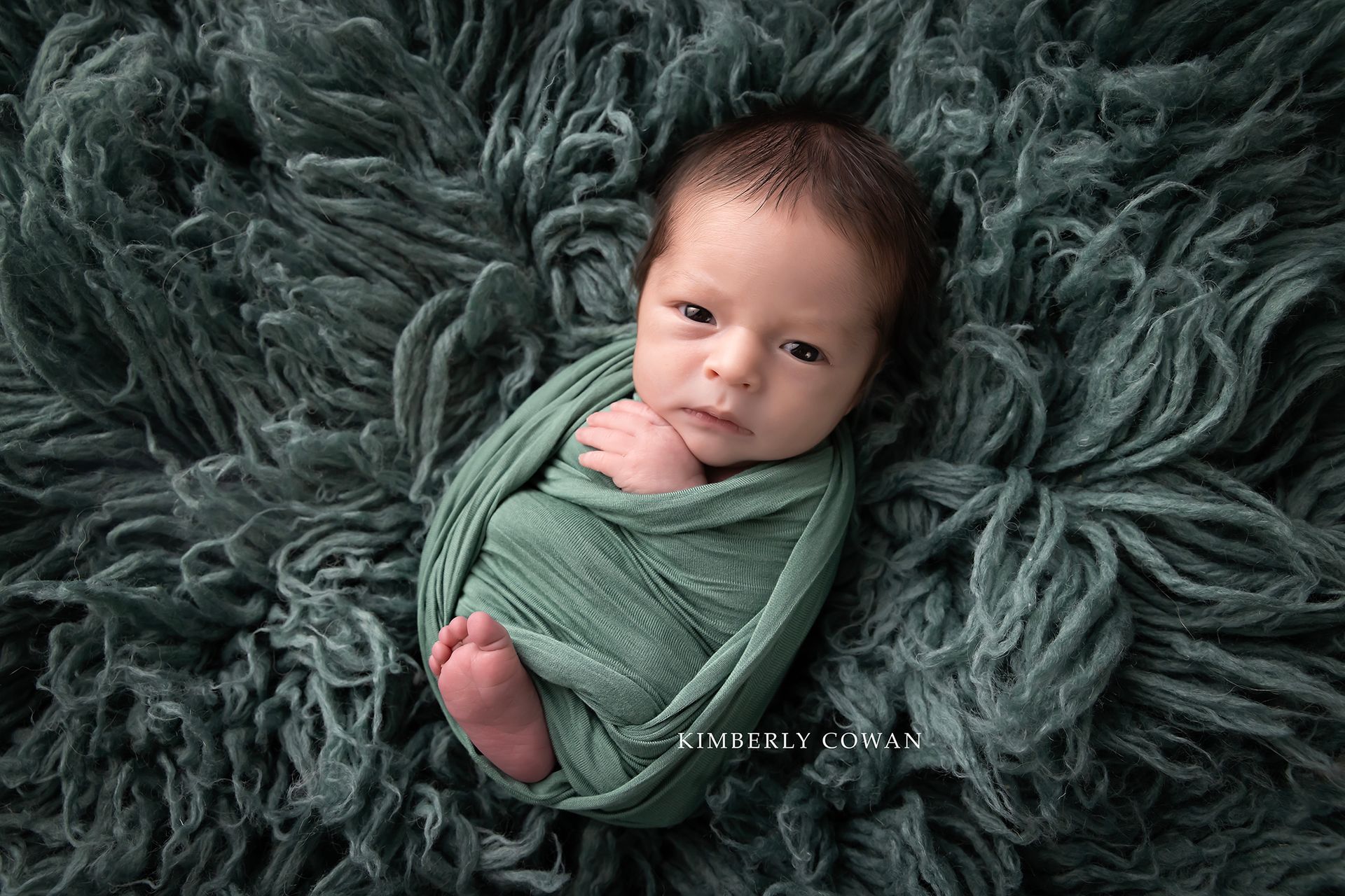 Limited Time Only! Newborn Mini Sessions! - Midland / Odessa Texas ...